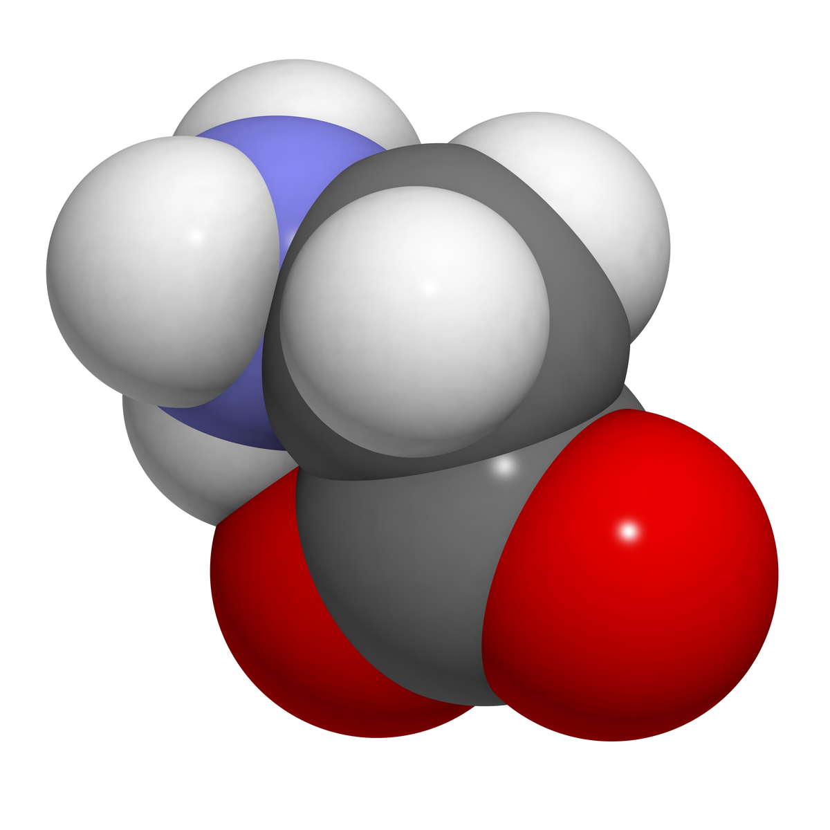 Prolent™ | Inhibitory Neurotransmission Support | Sanesco